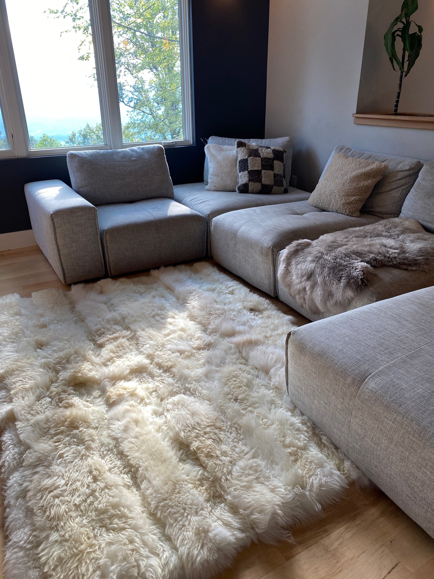 Area Rugs– East Perry