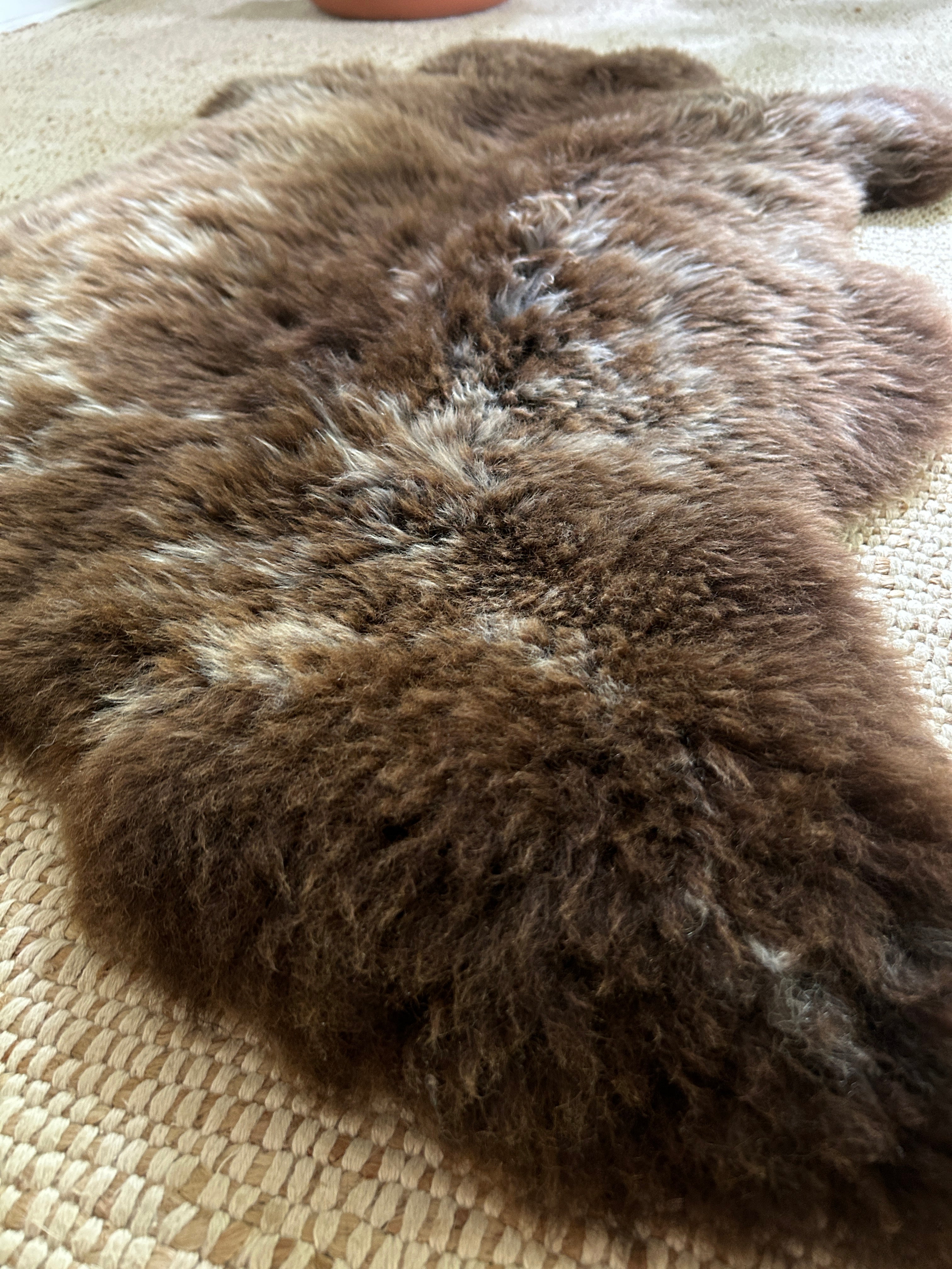 Natural Sheepskin - Why babies love them– East Perry