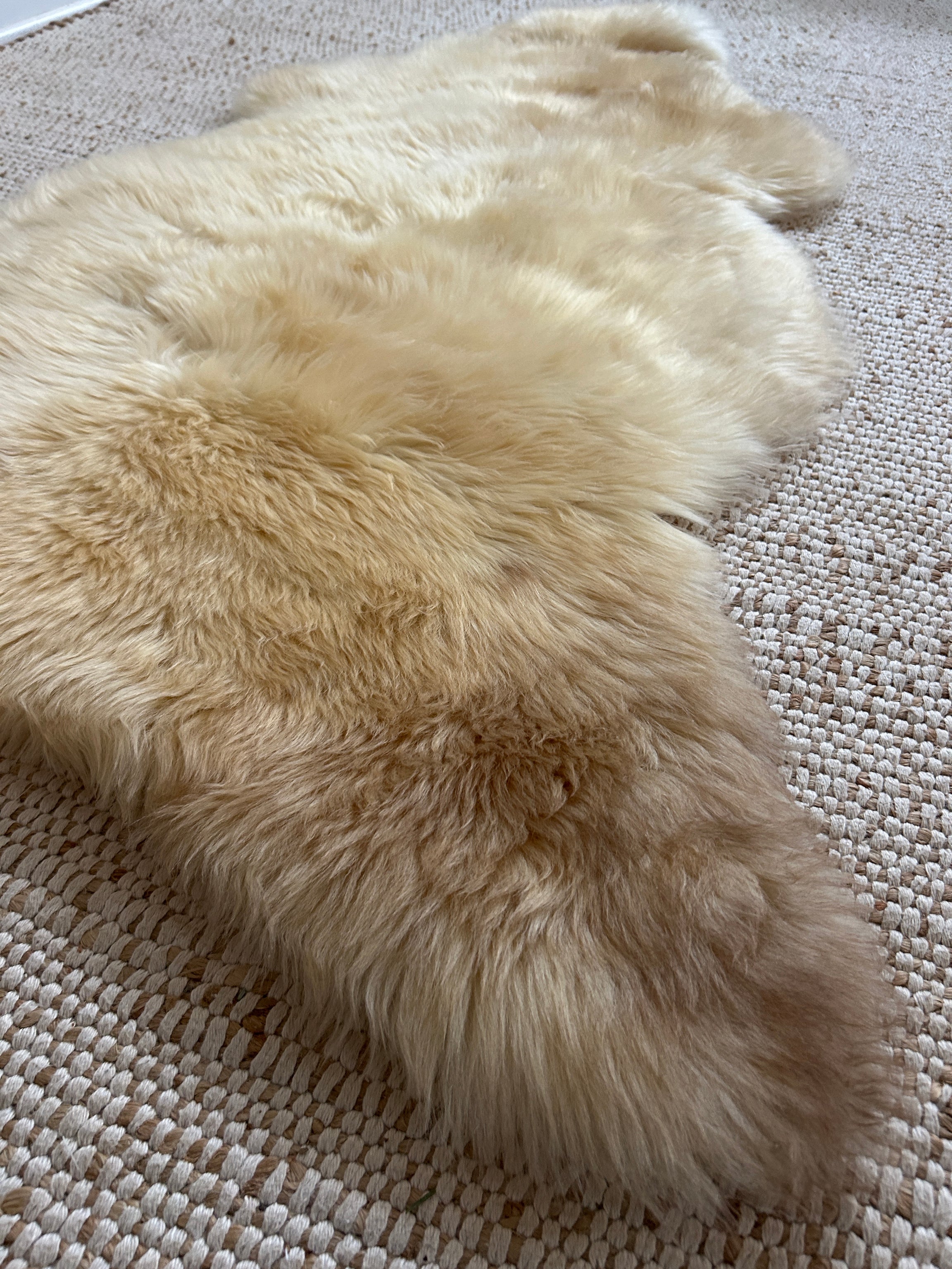 Light Golden Sheepskin– East Perry
