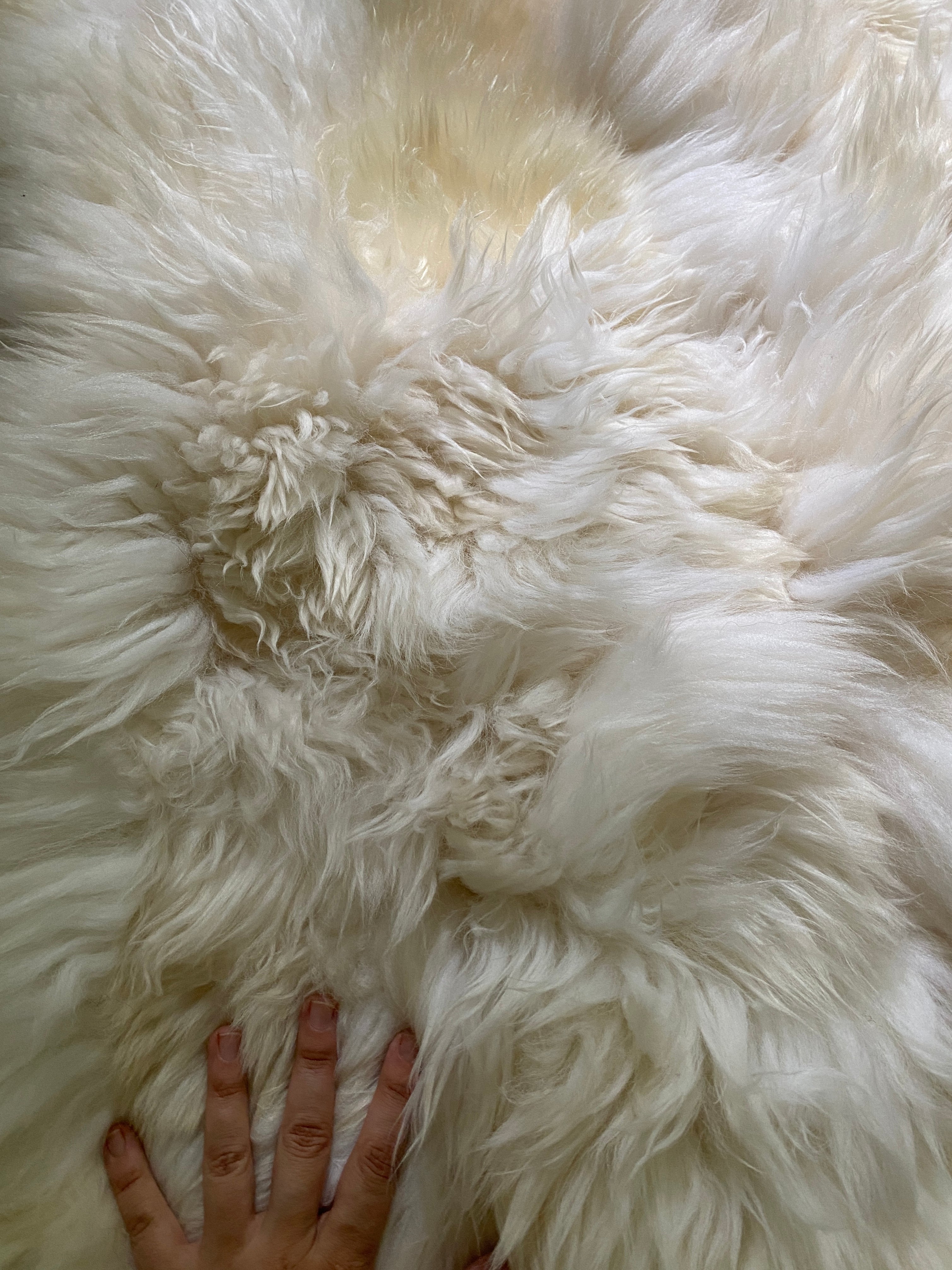 XXL Patchwork Ivory Sheepskin– East Perry