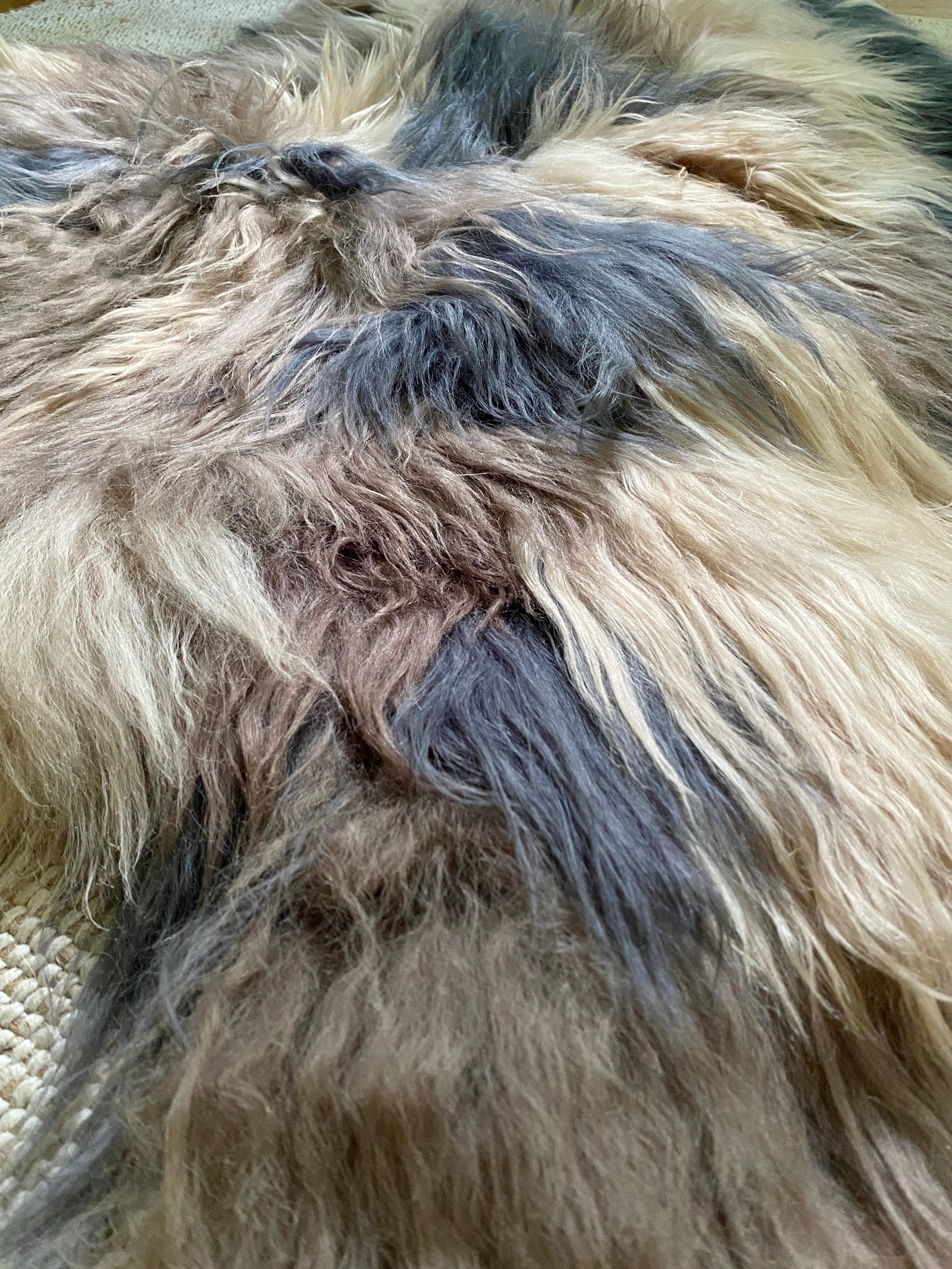 Exclusive XXL Icelandic Patchwork Sheepskin– East Perry