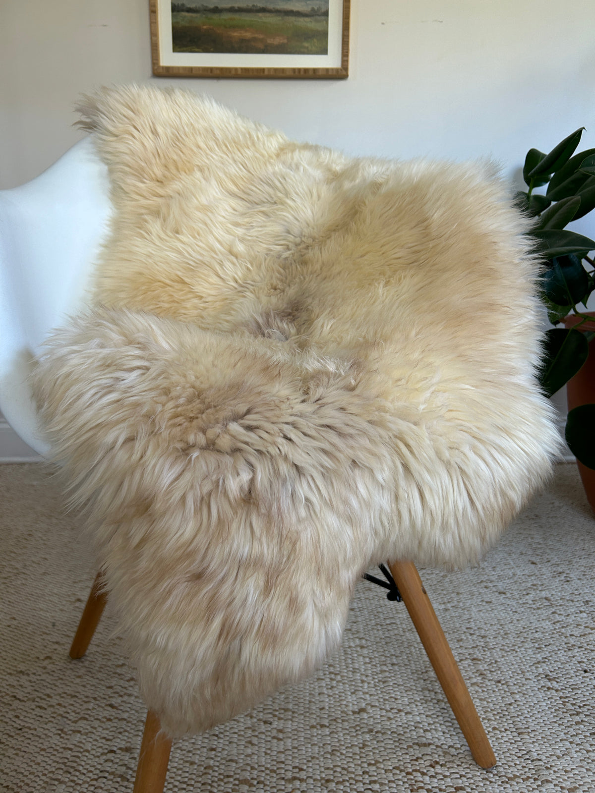 Natural sheepskin products + bespoke wool rugs– East Perry