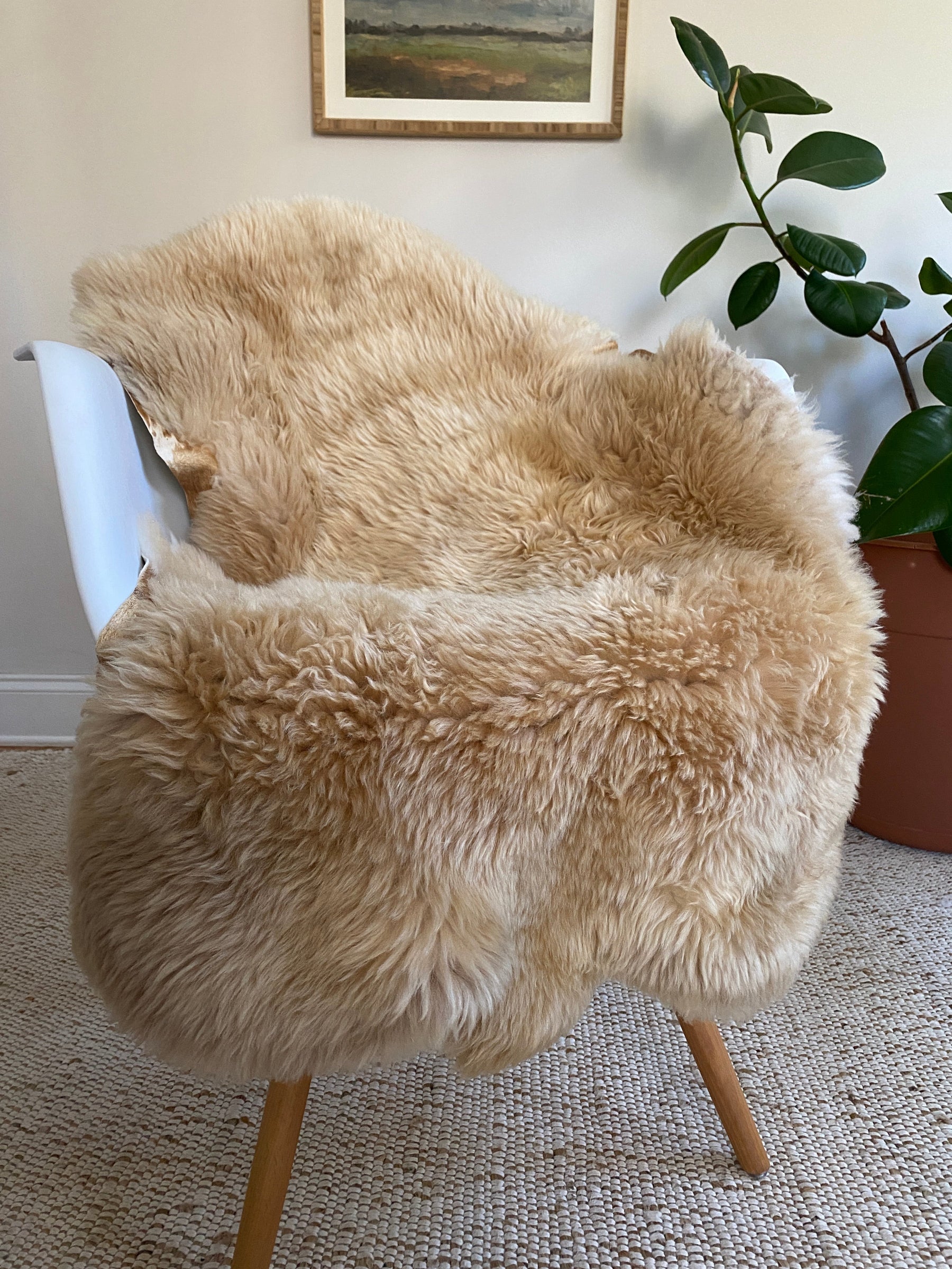 Sheepskin Area Rug– East Perry