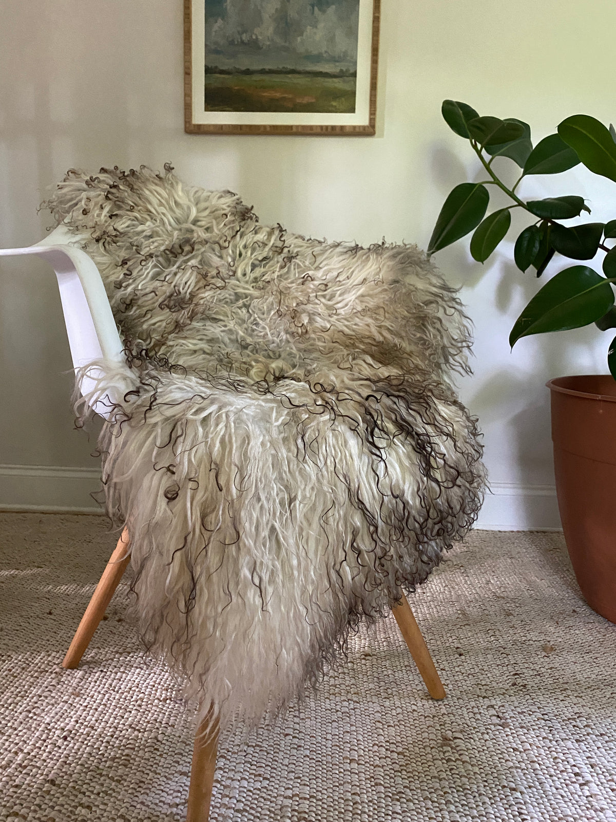 Curly Sheepskins– East Perry