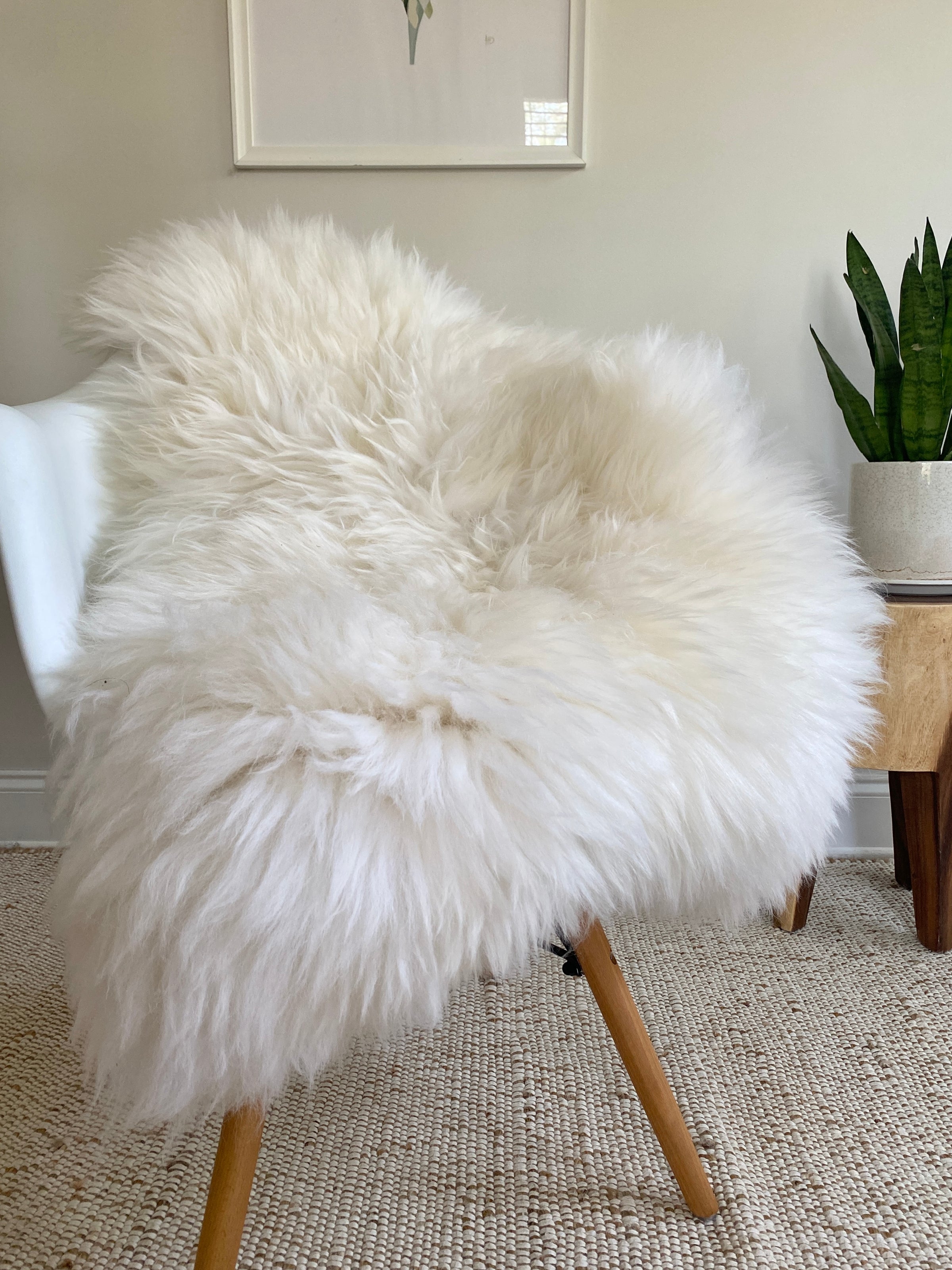 White Sheepskin Rugs– East Perry